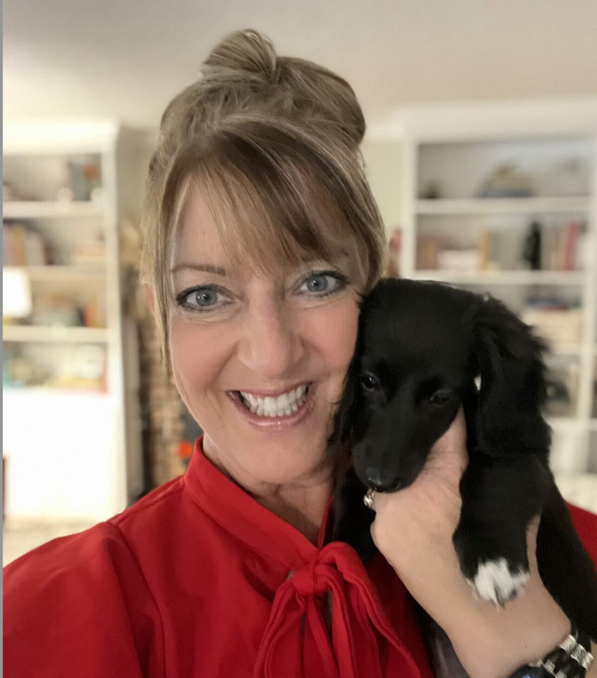 Our First Pre-Announcement. - The Animal Neurology Center